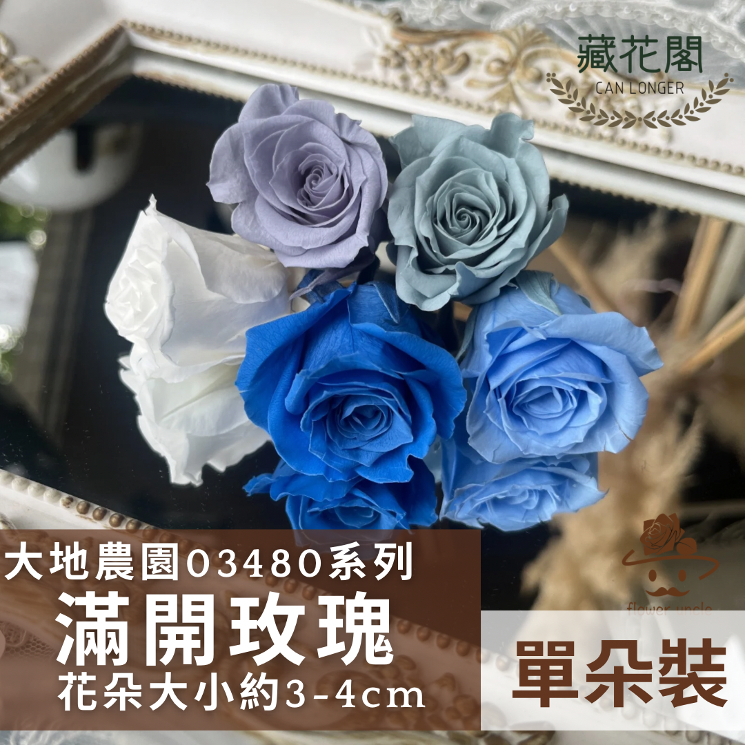 03480 中玫瑰 – 藏花閣